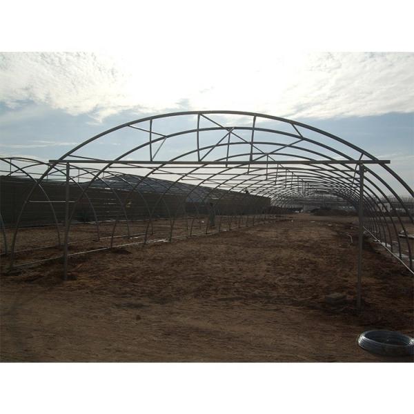 Quality 200 Micron Plastic Sheeting Greenhouse Customizable For Gulf Countries for sale
