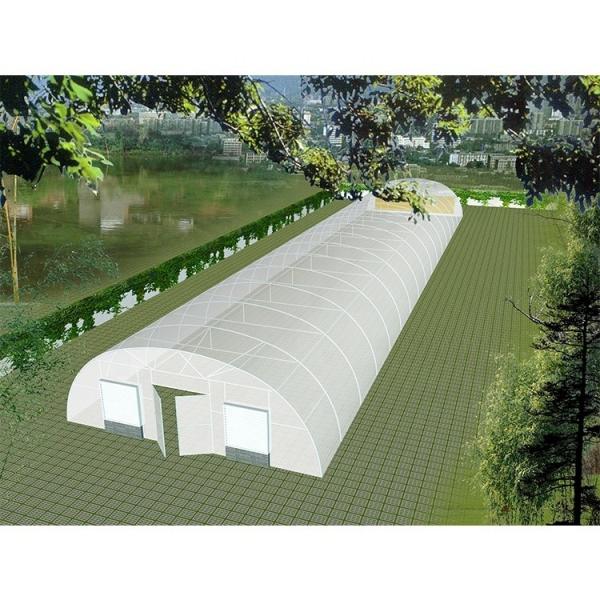 Quality 200 Micron Plastic Sheeting Greenhouse Customizable For Gulf Countries for sale