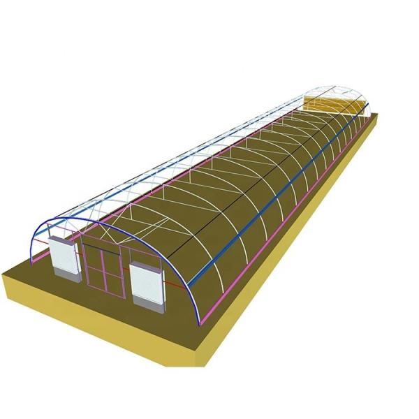 Quality 200 Micron Plastic Sheeting Greenhouse Customizable For Gulf Countries for sale
