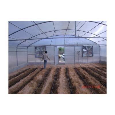 China 200 Micron Single Span Greenhouse High Capacity Plastic Film Greenhouse for sale