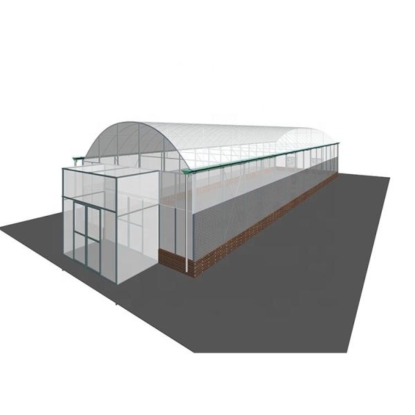 Quality 150 Micron Multi Tunnel Greenhouse Plastic Film Covering For Plants Growing for sale