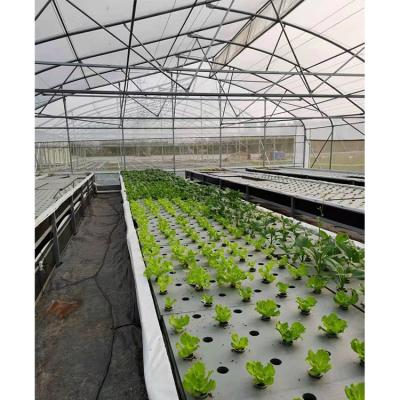 紫外線防止温室水栽培システム 野菜栽培 深水栽培システム