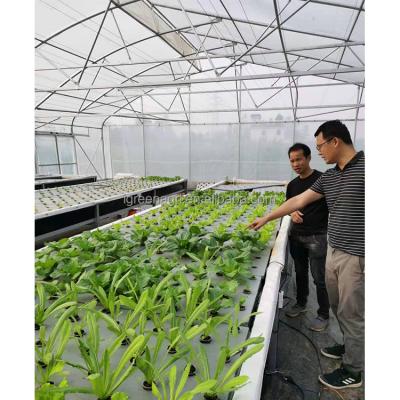 屋根の高さ6.5m 錬鉄製温室 花と野菜用