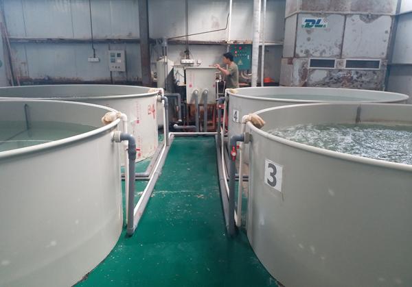 Quality Customized Galvanized Fish Pond High Capacity For Commercial Farming for sale