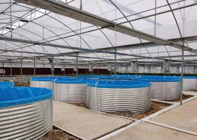 Китай Система рециркуляции аквакультуры креветок. Простая установка. Система RAS для разведения рыбы. продается