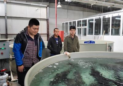 China 30m Diameter Recirculating Aquaculture System Fish Pond RAS Farming Aquaculture for sale