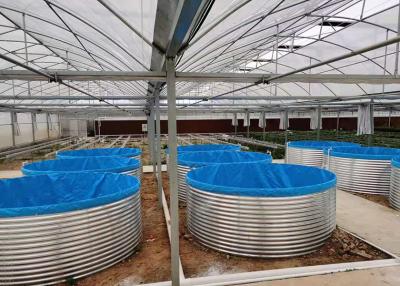 Китай Система рециркуляции аквакультуры креветок. Простая установка. Система RAS для разведения рыбы. продается
