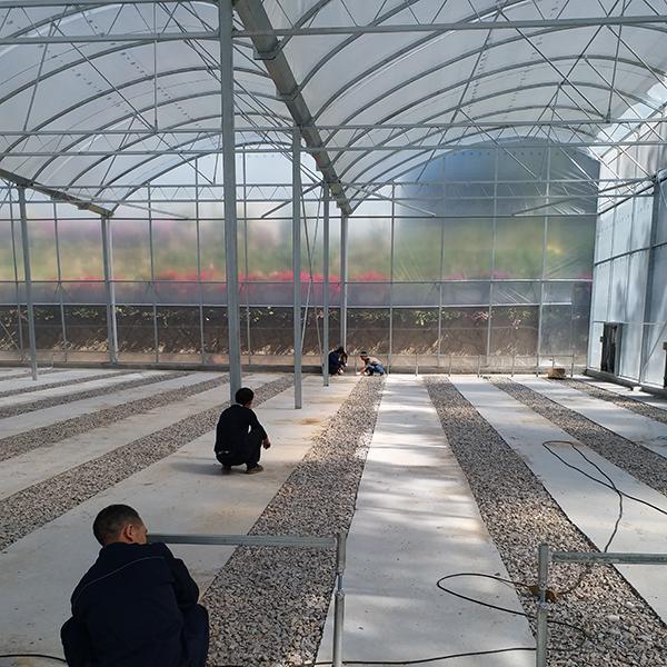 Quality Single Layer Greenhouse Hydroponics System Wrought Iron Greenhouse With Film for sale