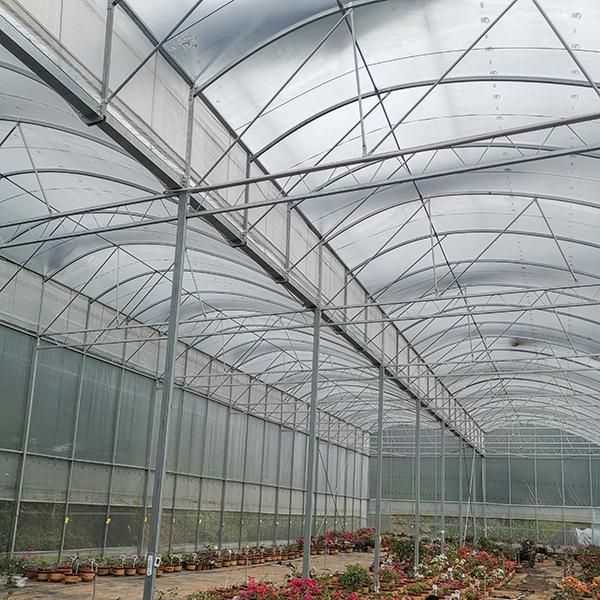 Quality Single Layer Greenhouse Hydroponics System Wrought Iron Greenhouse With Film for sale