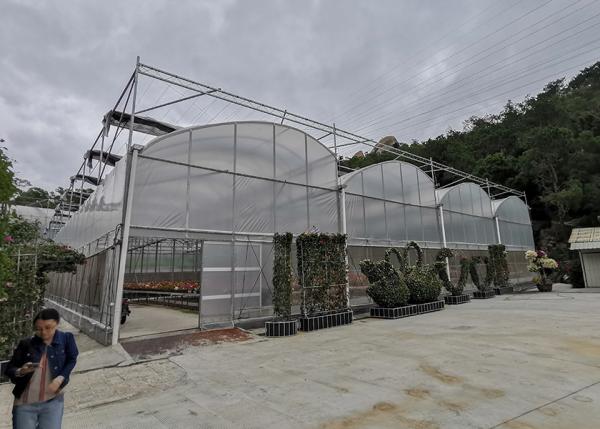 Quality Single Layer Greenhouse Hydroponics System Wrought Iron Greenhouse With Film for sale