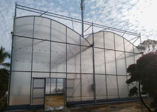 Quality Single Layer Greenhouse Hydroponics System Wrought Iron Greenhouse With Film for sale