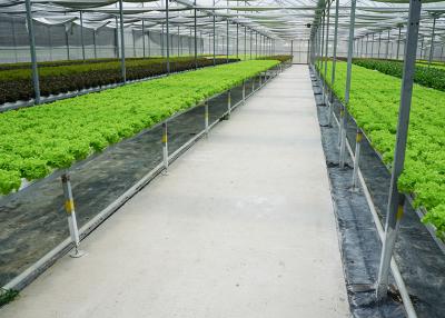 Китай Многоразовый теплица с верхней вентиляцией и индивидуальной длины пленки поверхности IGreen продается