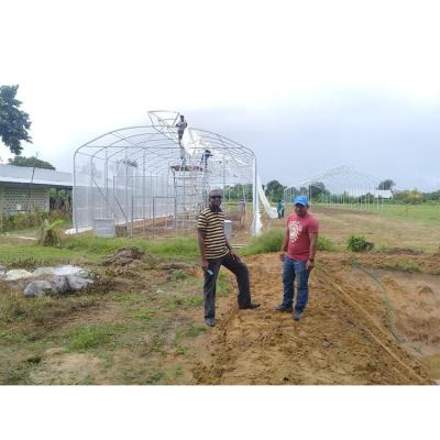 중국 150 미크론 단동 비닐하우스 필름 온실 자연 환기 우산형 지붕 환기구 판매용