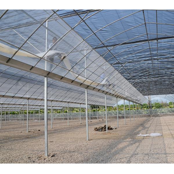 Quality 10m Tunnel Width Wide Span Greenhouse For Snail Farming with Irrigation System for sale