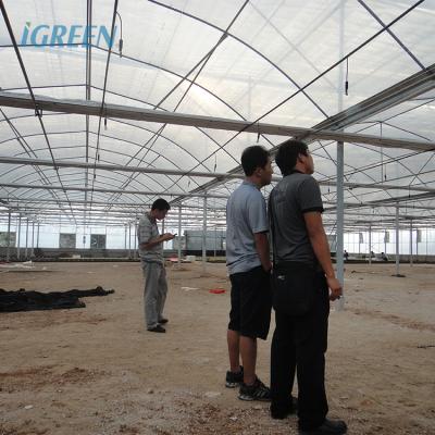 China 10m Tunnel Width Wide Span Greenhouse For Snail Farming with Irrigation System for sale