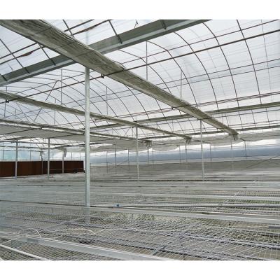China 10m Tunnel Width Wide Span Greenhouse For Snail Farming with Irrigation System for sale