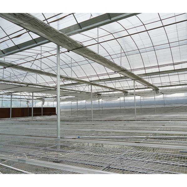 Quality 10m Tunnel Width Wide Span Greenhouse For Snail Farming with Irrigation System for sale