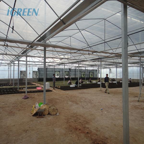 Quality Film Type High Tunnel Greenhouse Customizable For Flowers Farming Demands for sale