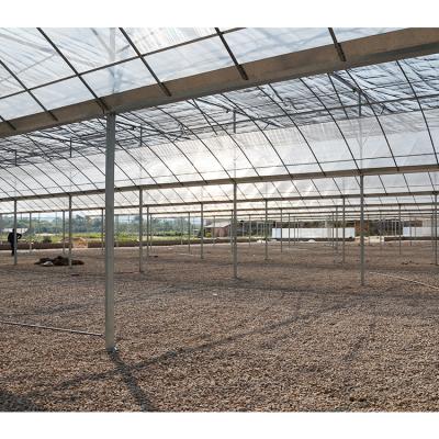 Serre agricole a lunghezza multi-span personalizzate in IGREE Eco Green House Design