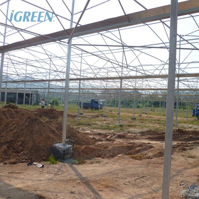 Greenhouse interior showing planting space