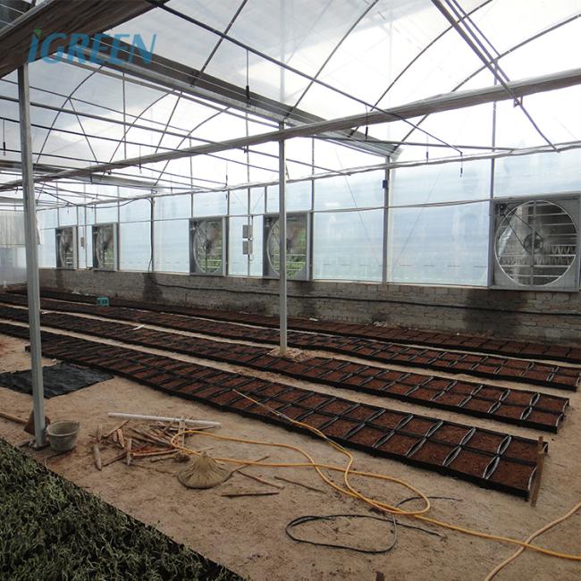 Close-up of greenhouse steel structure