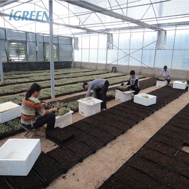 Greenhouse construction details