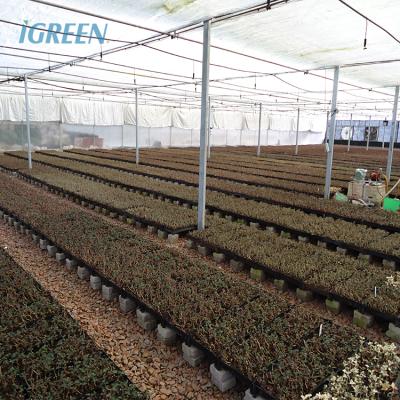 Китай Теплица для выращивания улиток с оросительной системой шириной тоннеля 10 м продается