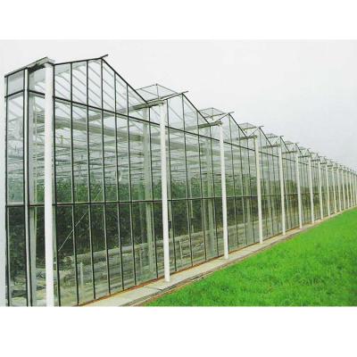 China Customizable Multi Span Greenhouse With Side Vent And Roof Height 3.73M for sale