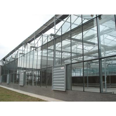 China Customizable Multi Span Greenhouse With Side Vent And Roof Height 3.73M for sale