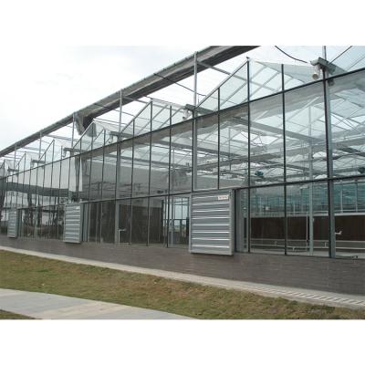 China Customizable Multi Span Greenhouse With Side Vent And Roof Height 3.73M for sale