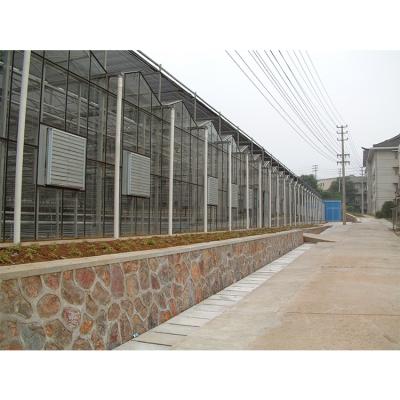Serra industriale coperta di vetro con tetto alto 3,73 - 7,73 m e pannelli di vetro
