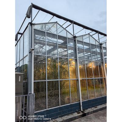China IGREEN Agricultural Venlo Glass Greenhouse  to Grow Flowers and Seedlings for sale