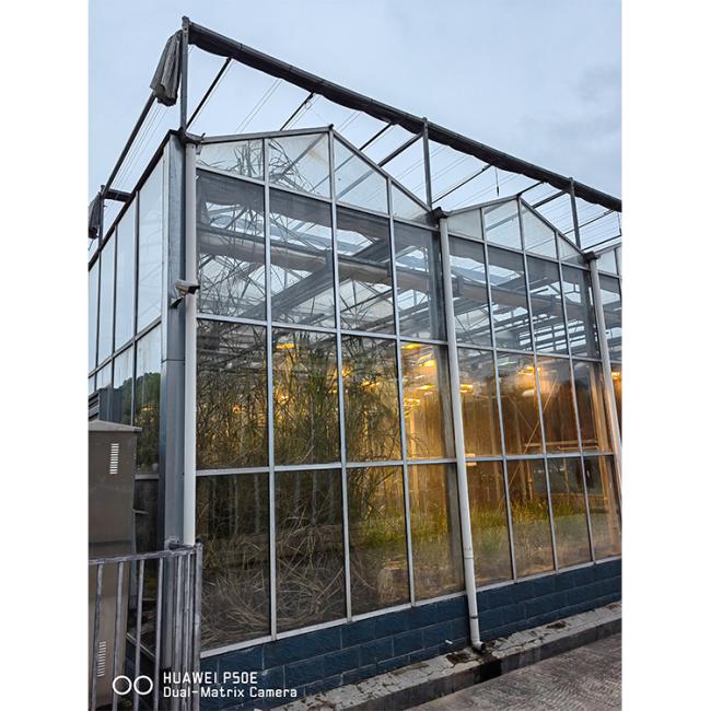 Completed greenhouse project overview