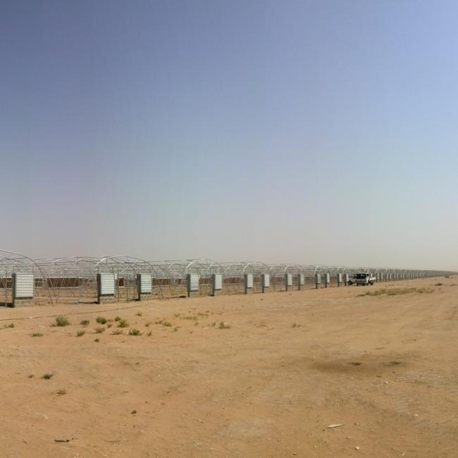 Greenhouse construction detail