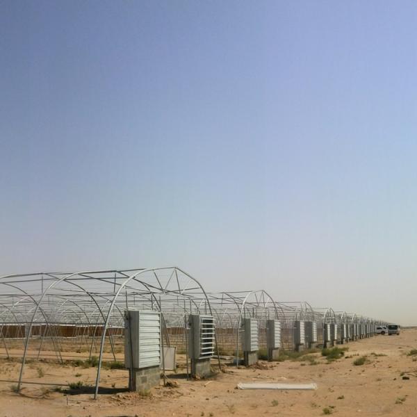 Quality PE Cooling System Agricultural Greenhouse Flower Growing Galvanized Steel Greenhouse for sale