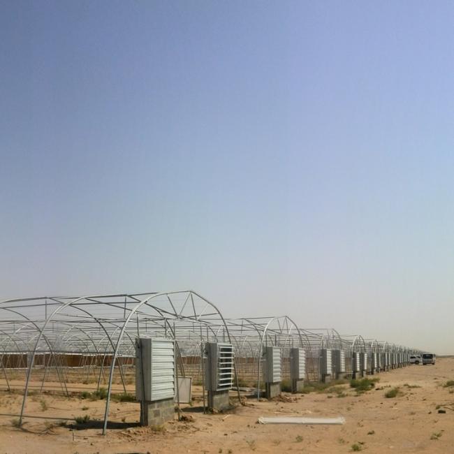 Greenhouse ventilation system