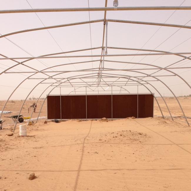 Greenhouse side view