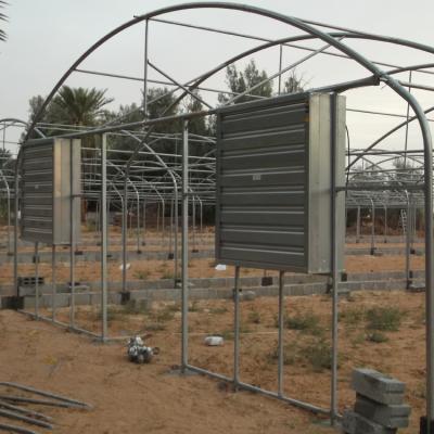 중국 10m 폭 터널형 빛 차단 온실 단층, 아연 도금 강관 사용 판매용