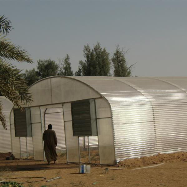 Quality 10m Width Tunnel Light Deprivation Greenhouse Single Layer With Galvanized Steel for sale