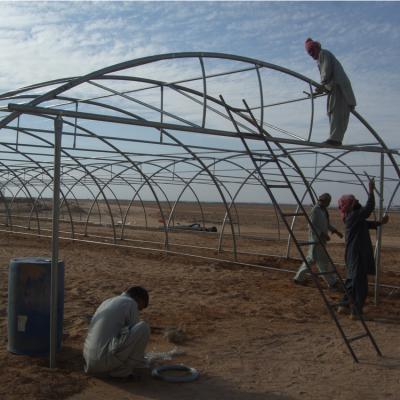 중국 10m 폭 터널형 빛 차단 온실 단층, 아연 도금 강관 사용 판매용