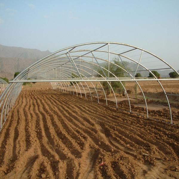 Quality 10m Width Tunnel Light Deprivation Greenhouse Single Layer With Galvanized Steel for sale