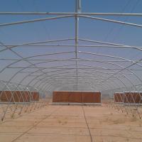 Quality 10m Width Tunnel Light Deprivation Greenhouse Single Layer With Galvanized Steel for sale