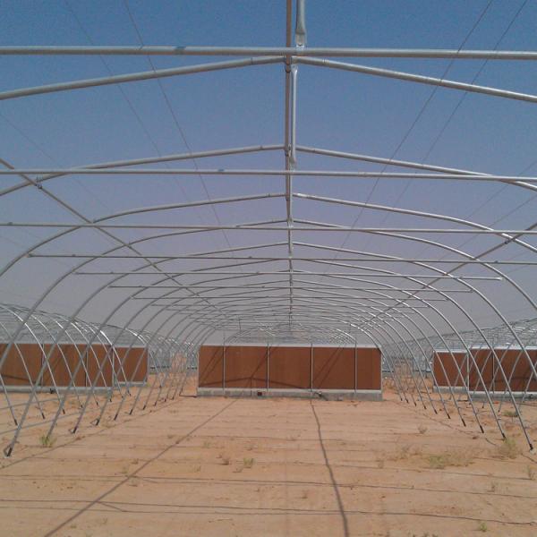Quality 10m Width Tunnel Light Deprivation Greenhouse Single Layer With Galvanized Steel for sale