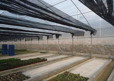 China Commercial Vegetable Greenhouse Kits With Rain Gutter And Large Zinc Coating 275gsm for sale