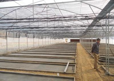 China Commercial Vegetable Greenhouse Kits With Rain Gutter And Large Zinc Coating 275gsm for sale