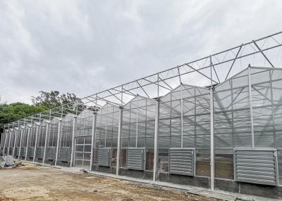 Groen polycarbonaat kaspanelen voor bloemen en groenten aangepaste lengte
