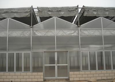 China Op maat gemaakte poly-tunnel kas Multi Span Landbouw polycarbonaat tunnel kas Te koop