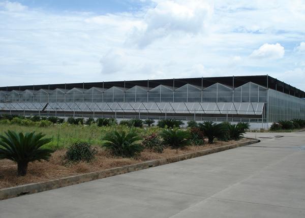 Quality IGreen PC Board Greenhouse Multi-Span Agricultural Greenhouses with PC Sunshine Board Panels for sale