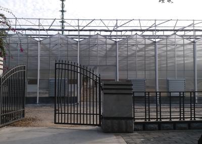 China IGreen PC Board Greenhouse Multi-Span Agricultural Greenhouses with PC Sunshine Board Panels for sale