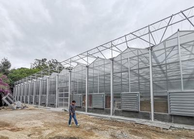 China IGreen PC Board Greenhouse Multi-Span Agricultural Greenhouses with PC Sunshine Board Panels for sale